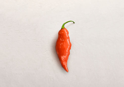 Cook – Row 7 Seed Company