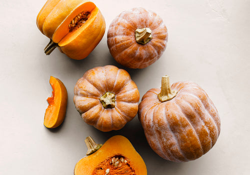 Cook – Row 7 Seed Company