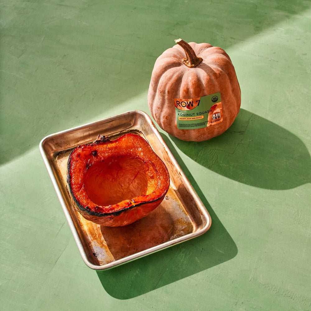 roasted-koginut-squash-puree