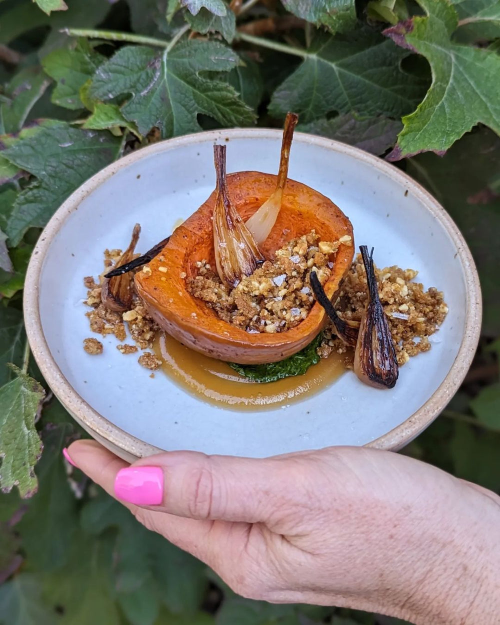 Lodi Squash Seeds
