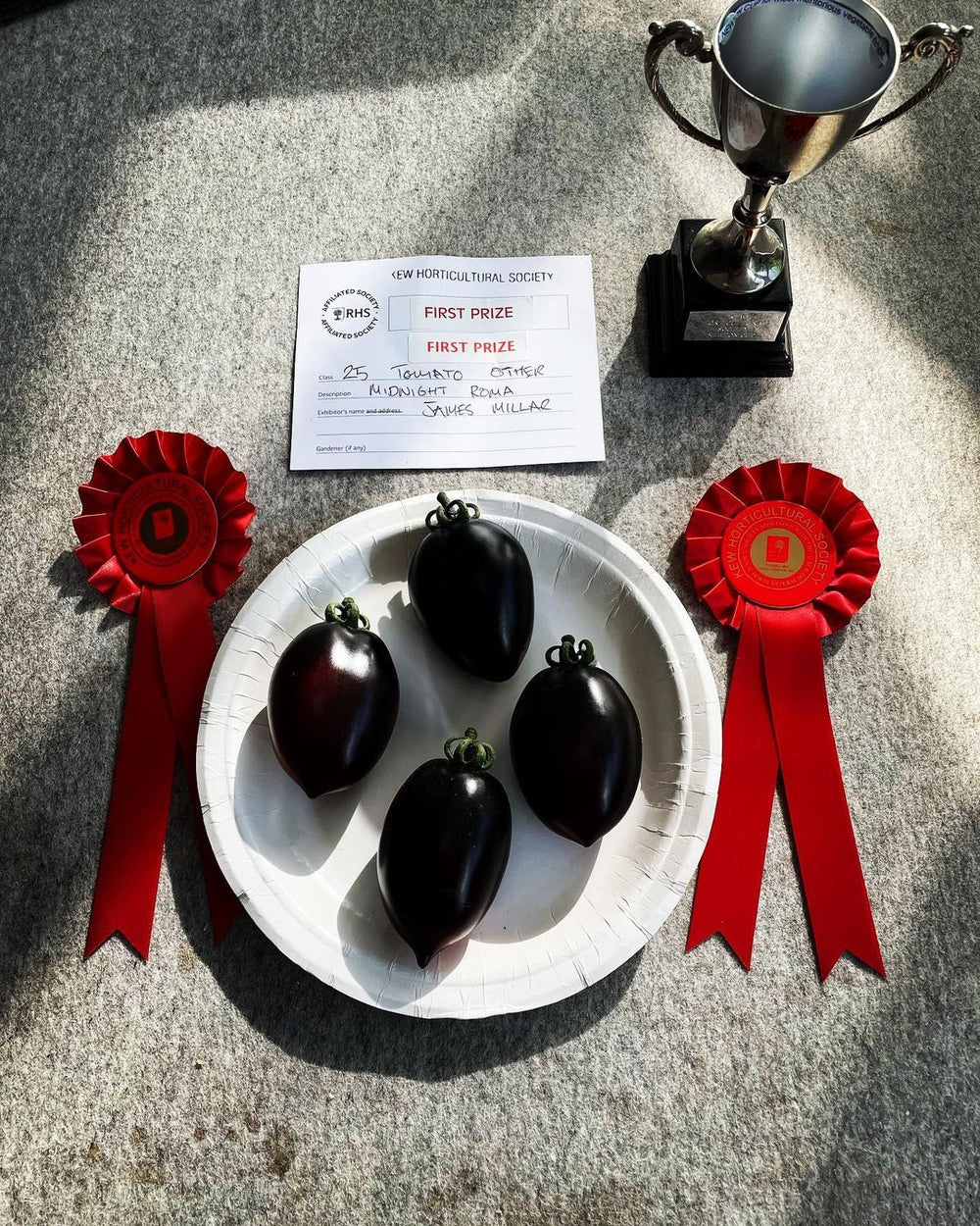 Midnight Roma Tomato Seeds