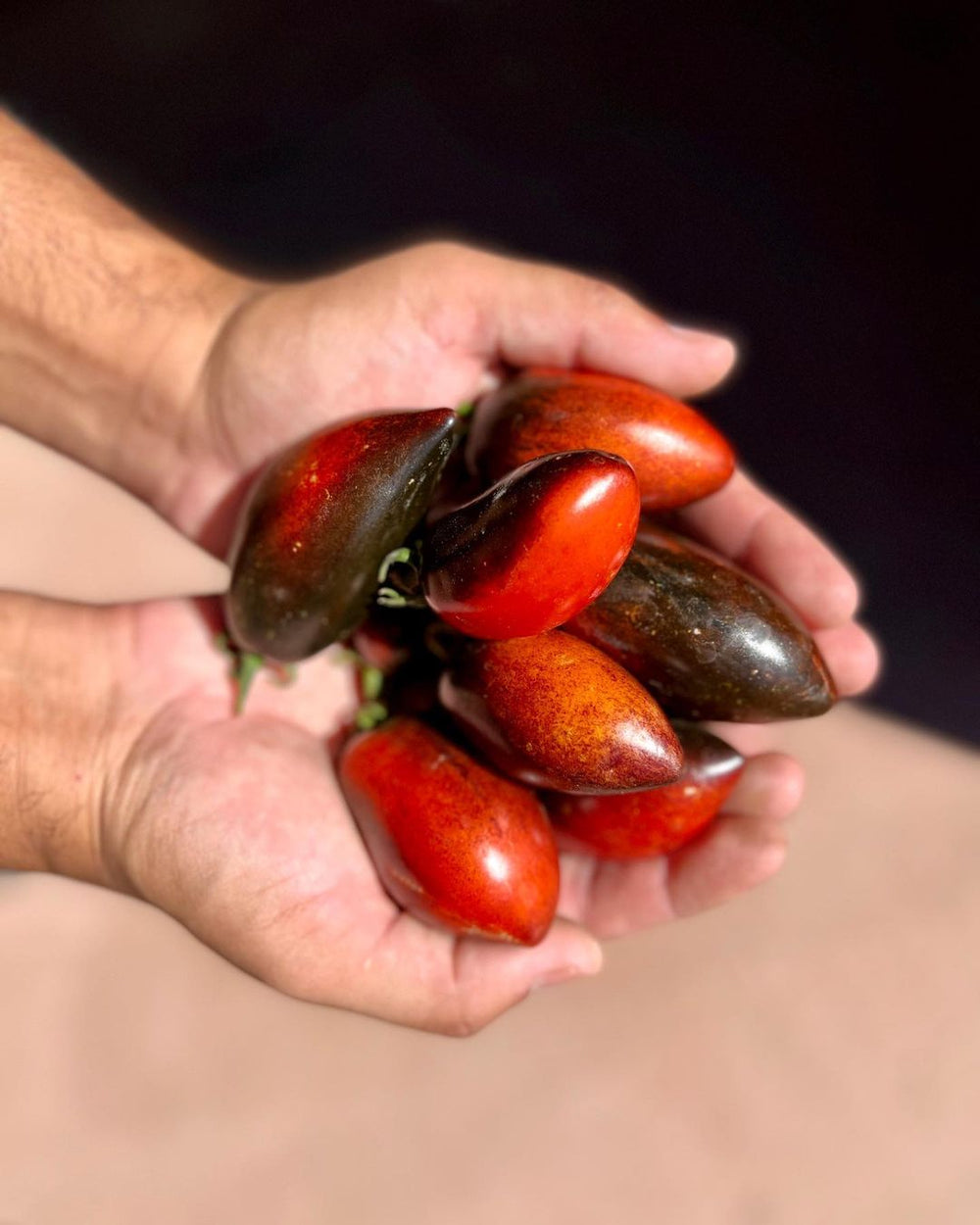 Midnight Roma Tomato Seeds