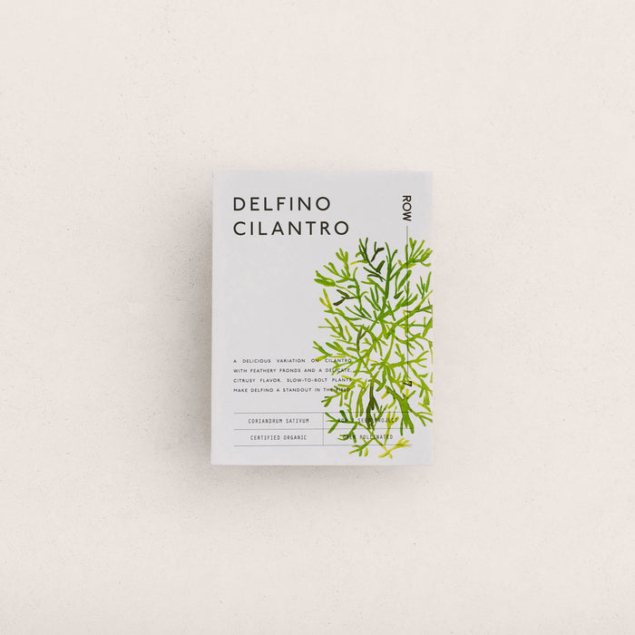 Delfino Cilantro Seeds