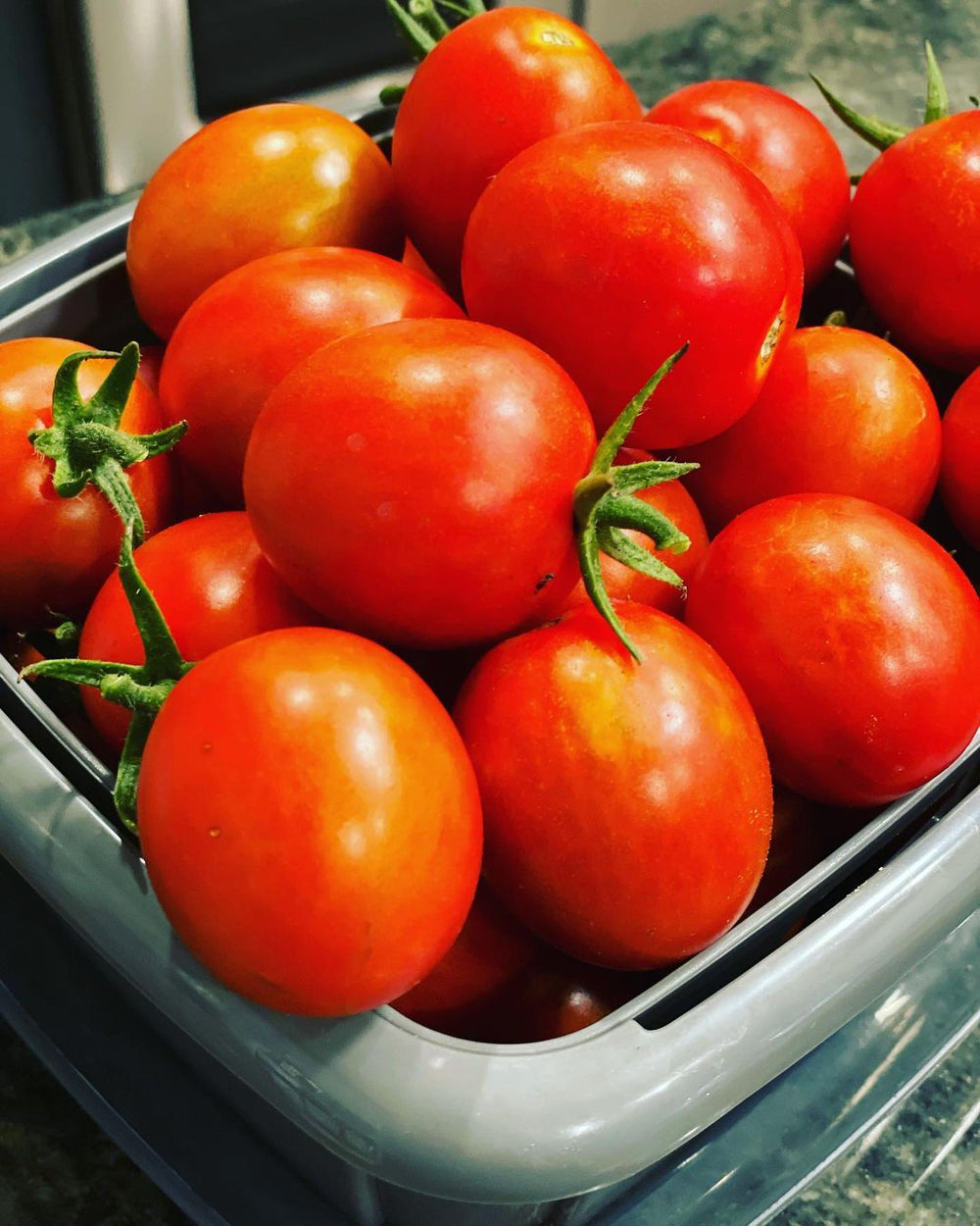 Sweet Prince Tomato